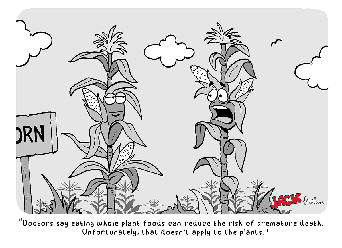 jackfm_2406_742_wholeplantfoods-1200 - Jack FM